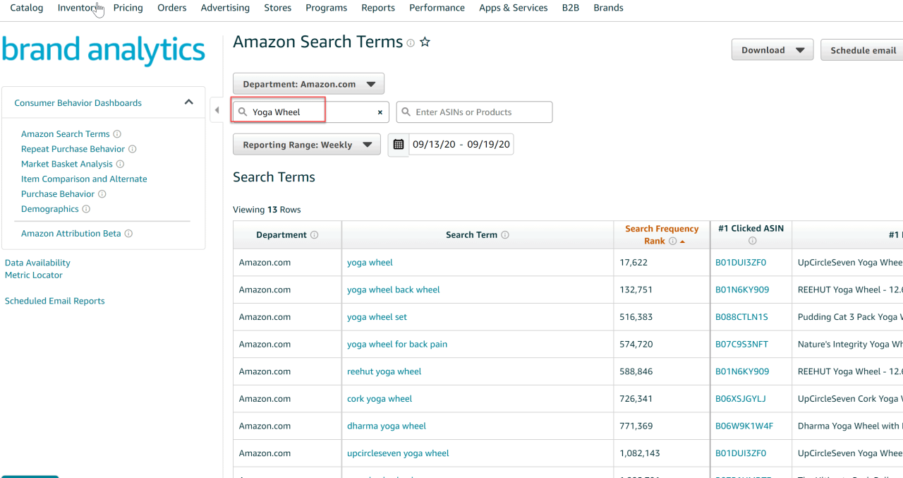 Amazon Search Term Optimization Guide - Examples (2025)
